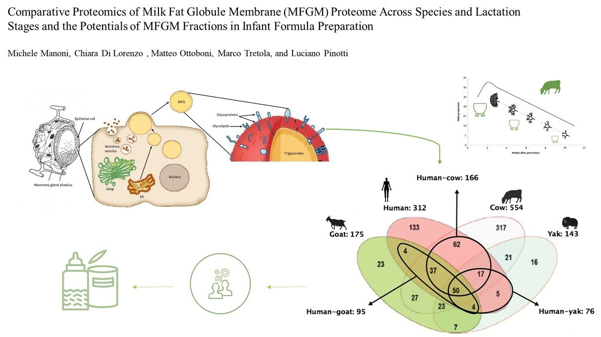 Foods | Free Full-Text | Comparative Proteomics of Milk Fat Globule ...