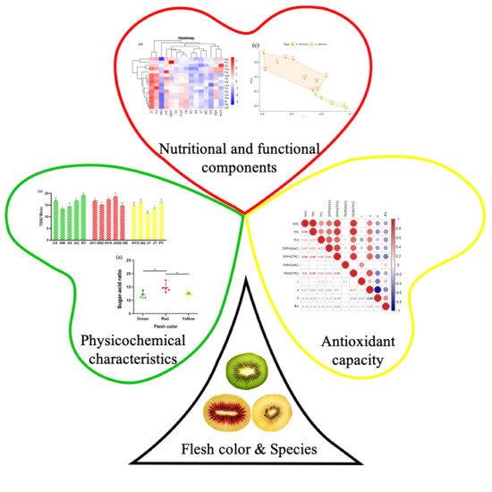 Foods | Free Full-Text | Comparative Analysis of Physicochemical Characteristics, Nutritional ...