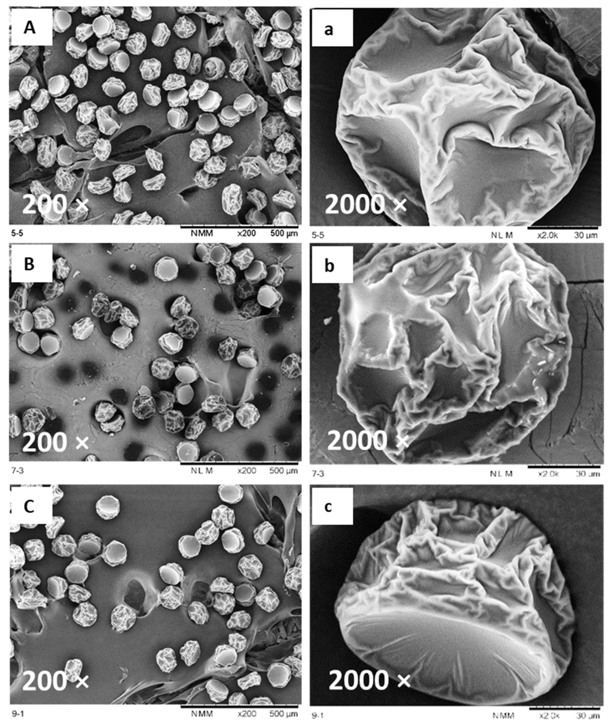 Fabrication of Spray-Dried Microcapsules Containing Noni Juice Using ...