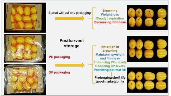 Foods | Special Issue : Food Packaging Strategies