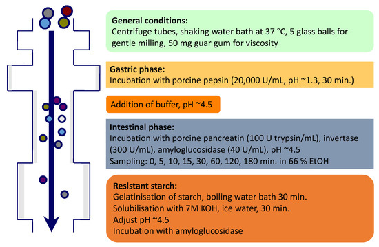The Relationship between In Vitro and In Vivo Starch Digestion Kinetics ...