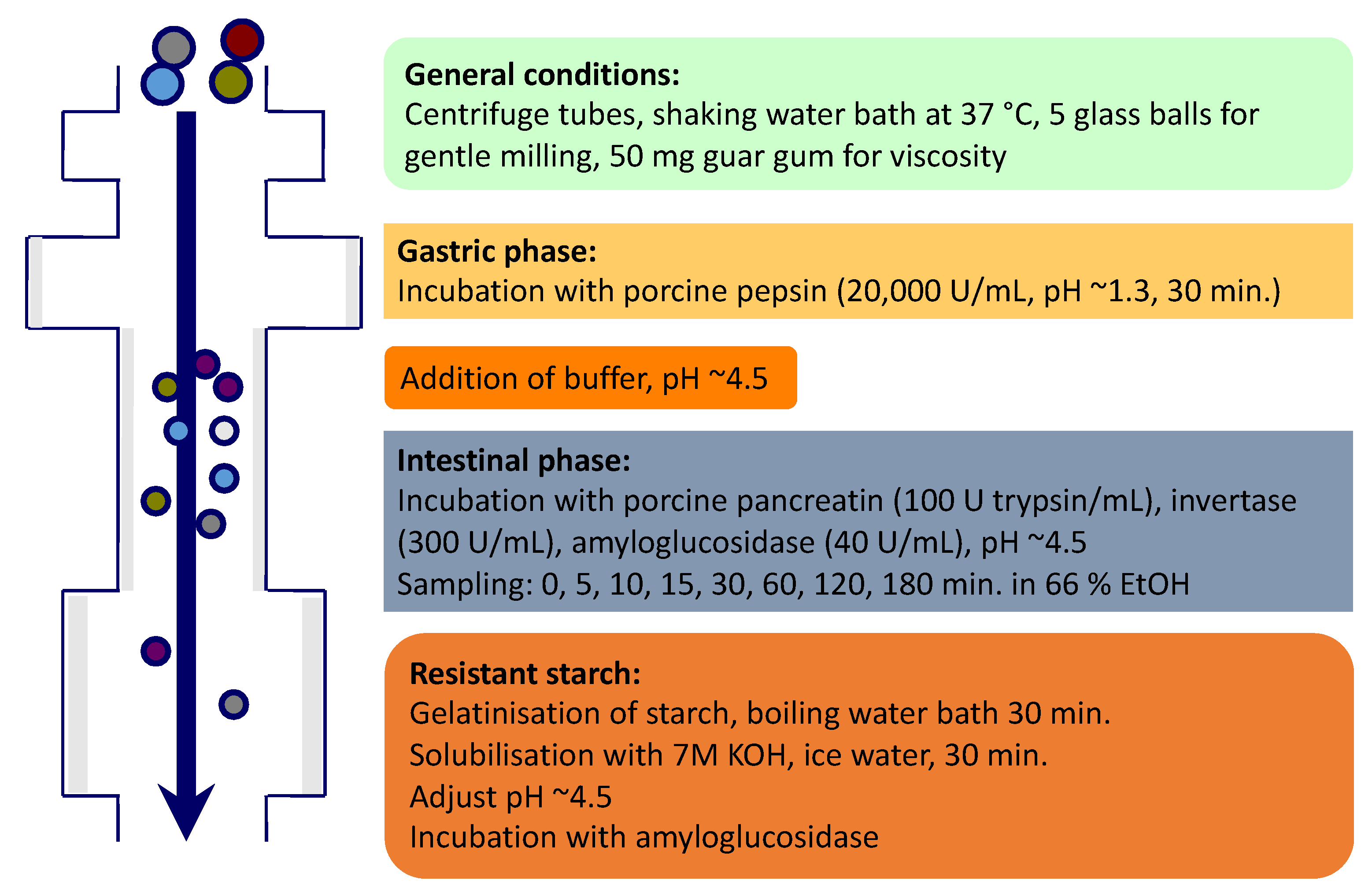 The Relationship between In Vitro and In Vivo Starch Digestion Kinetics ...