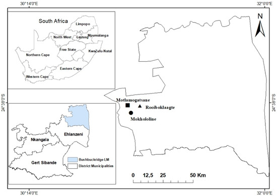 An Exploratory Study on the Diverse Uses and Benefits of Locally ...