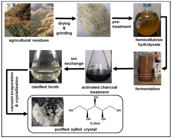 Biological and Pharmacological Potential of Xylitol: A Molecular ...