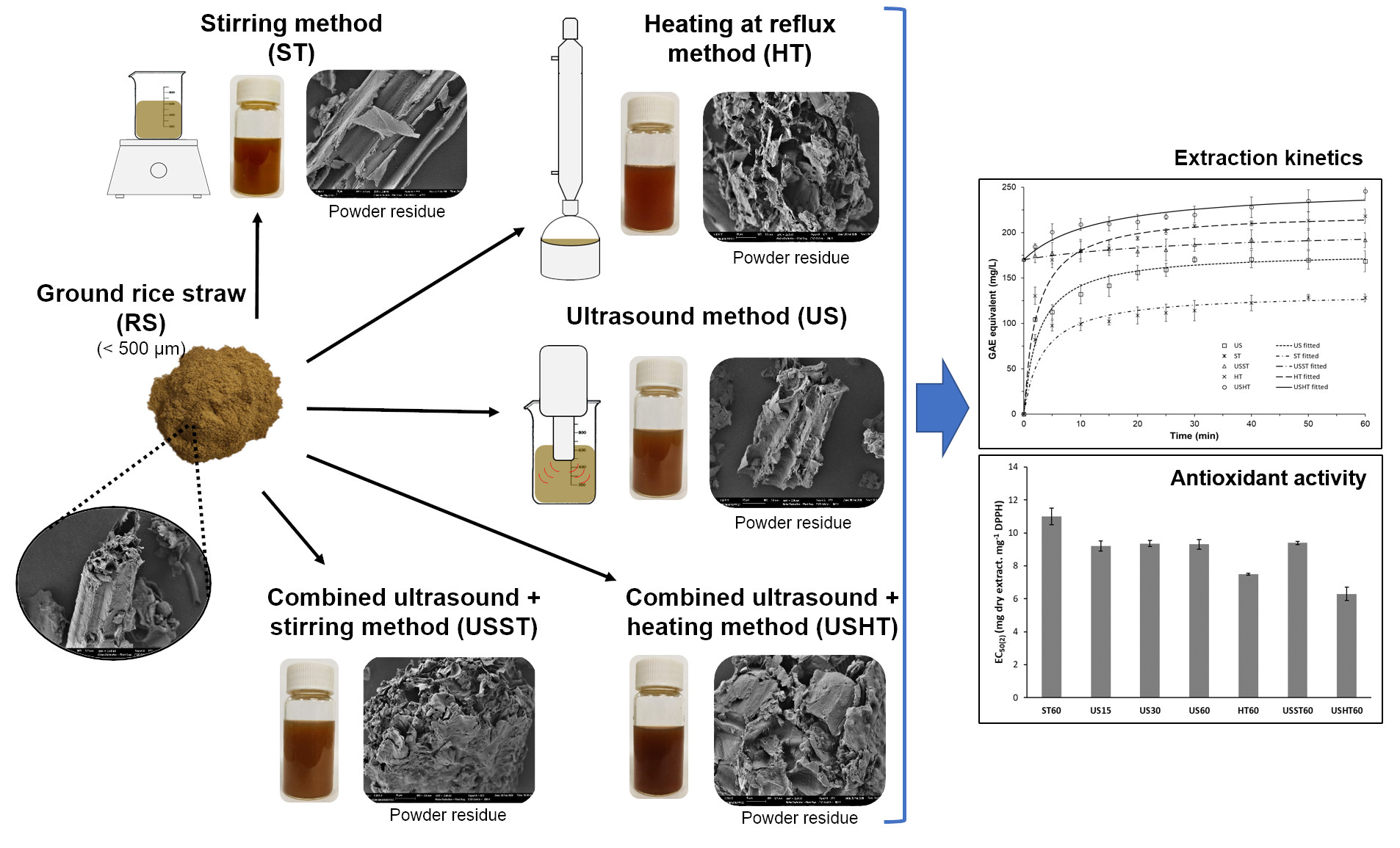 Foods | Free Full-Text | Application of Ultrasound Pre-Treatment for ...