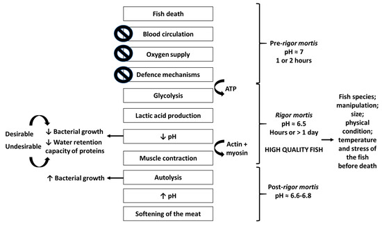 Quality Assessment of Chilled and Frozen Fish—Mini Review
