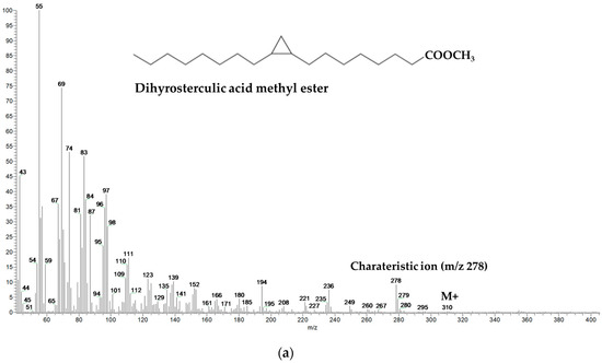 Foods | Free Full-Text | An Overview on Cyclic Fatty Acids as ...
