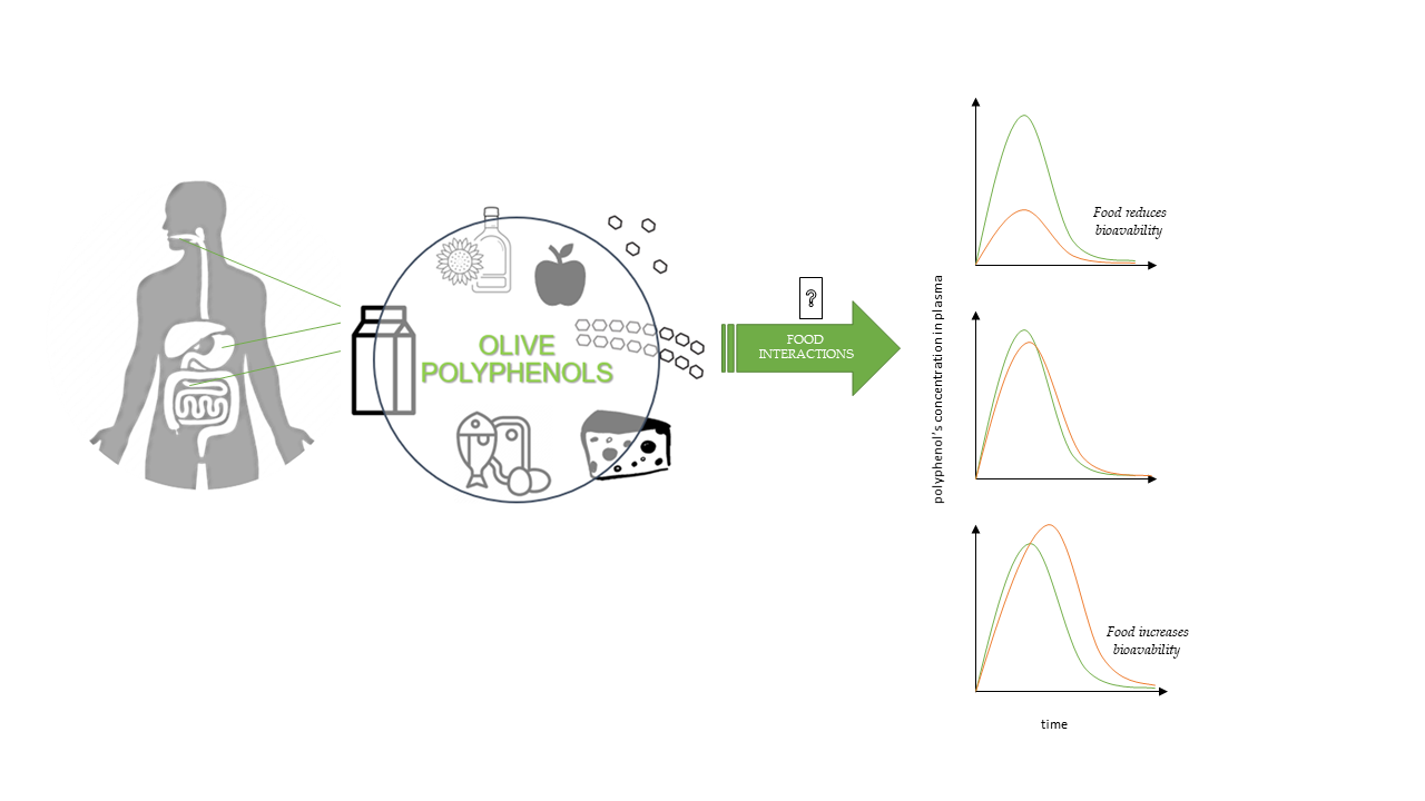 Foods | Free Full-Text | Food (Matrix) Effects on Bioaccessibility and ...