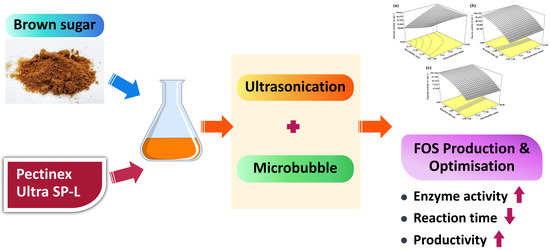 Foods | Free Full-Text | Integrated Ultrasonication and Microbubble ...