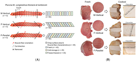 Pork Loin Chop Quality and Muscle Fiber Characteristics as Affected by ...