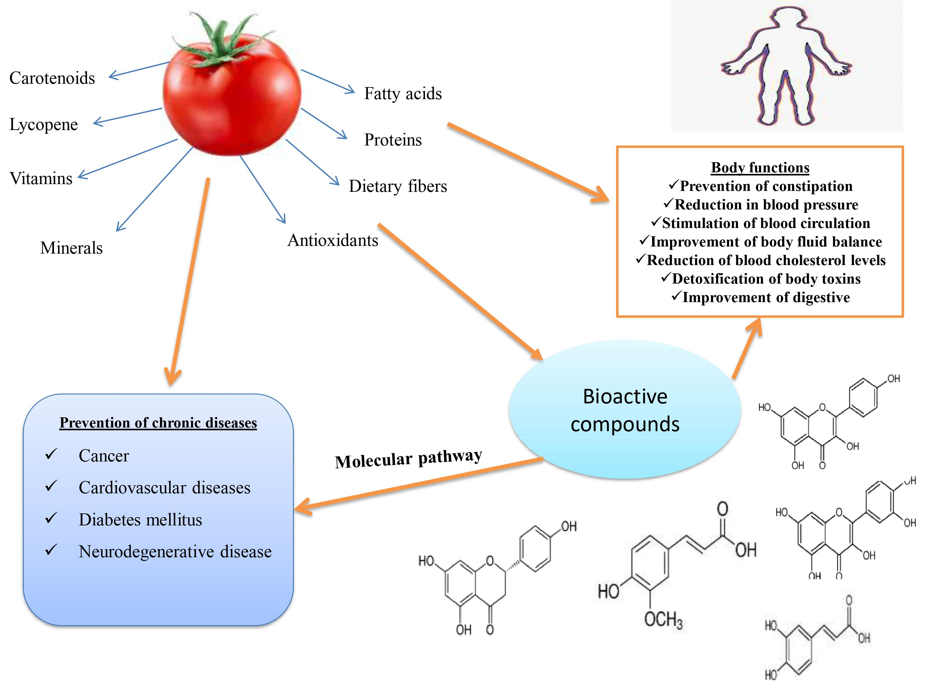 Foods | Free Full-Text | Nutritional Composition and Bioactive ...