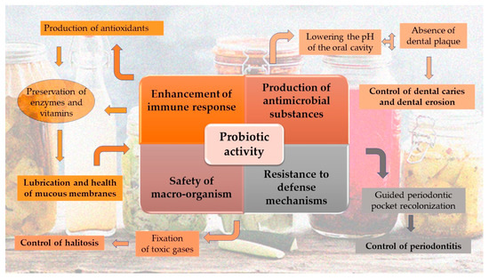 Fermentative Foods: Microbiology, Biochemistry, Potential Human Health ...