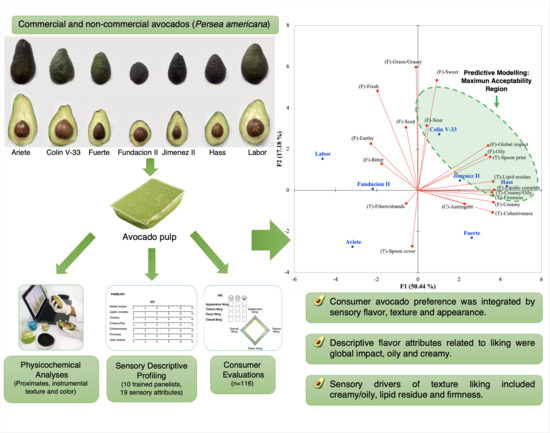 Foods | Special Issue : Implementation of Artificial Intelligence in ...