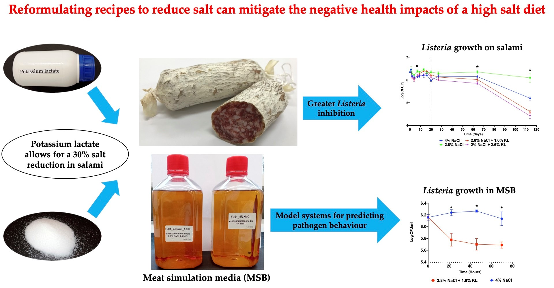 Foods | Free Full-Text | Potassium Lactate as a Strategy for Sodium ...