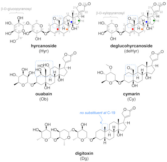 Steroid Glycosides Hyrcanoside and Deglucohyrcanoside: On Isolation ...