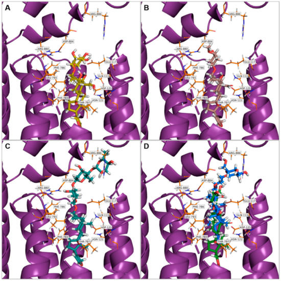 Steroid Glycosides Hyrcanoside and Deglucohyrcanoside: On Isolation ...