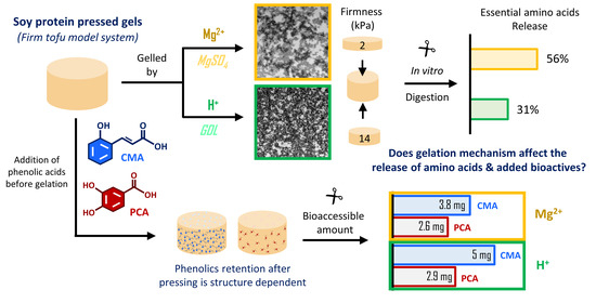 Foods | Free Full-Text | Soy Protein Pressed Gels: Gelation Mechanism ...
