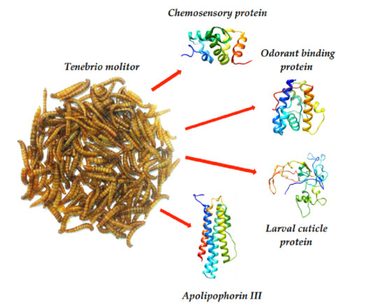 Foods | Special Issue : New Researches in Food Allergen Detection