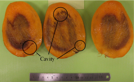 Soft Mango Firmness Assessment Based on Rayleigh Waves Generated by a ...