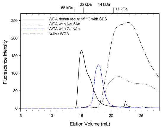 Degradation of Wheat Germ Agglutinin during Sourdough Fermentation