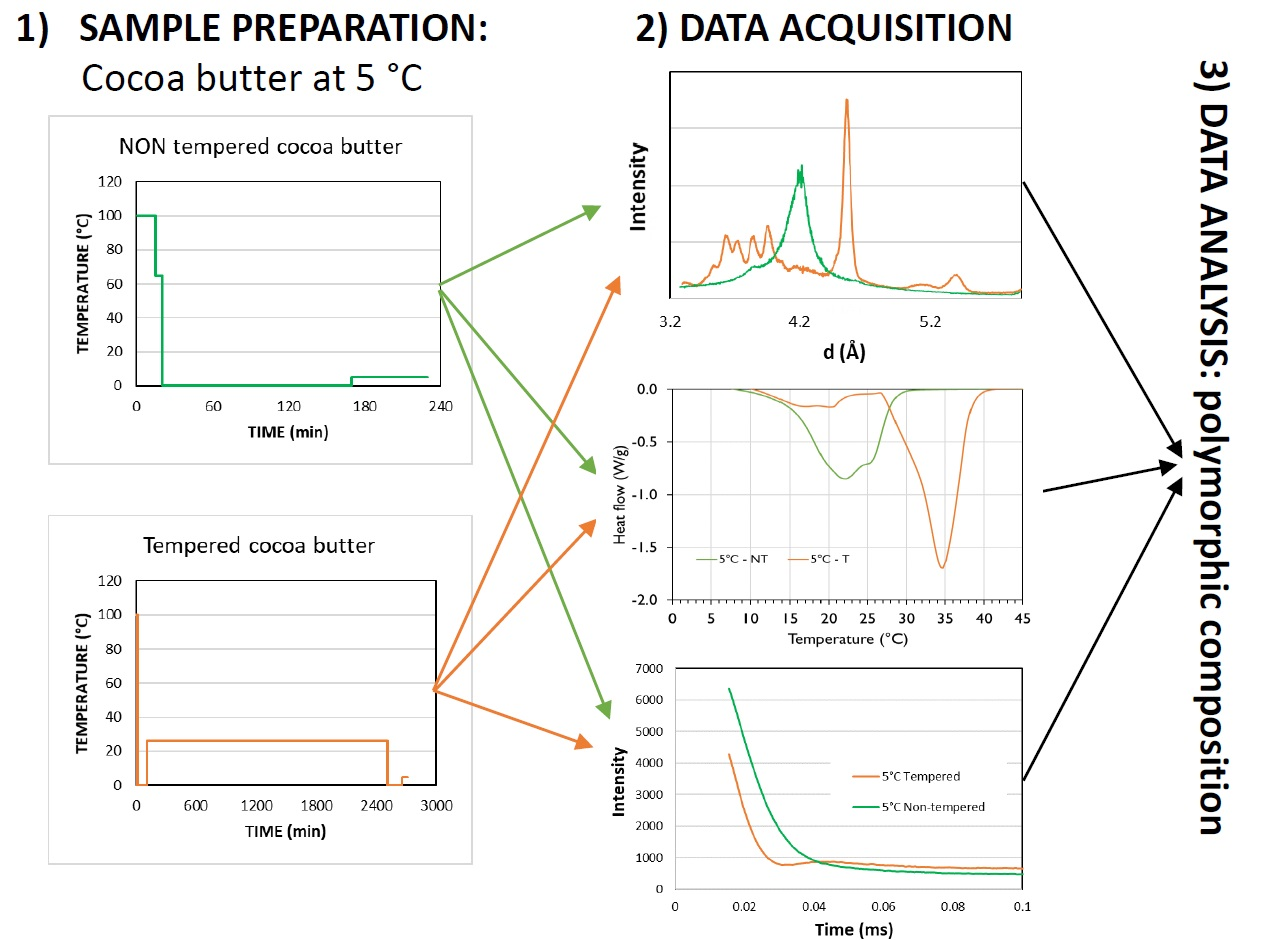 Foods | Free Full-Text | Characterisation of Fat Crystal Polymorphism ...
