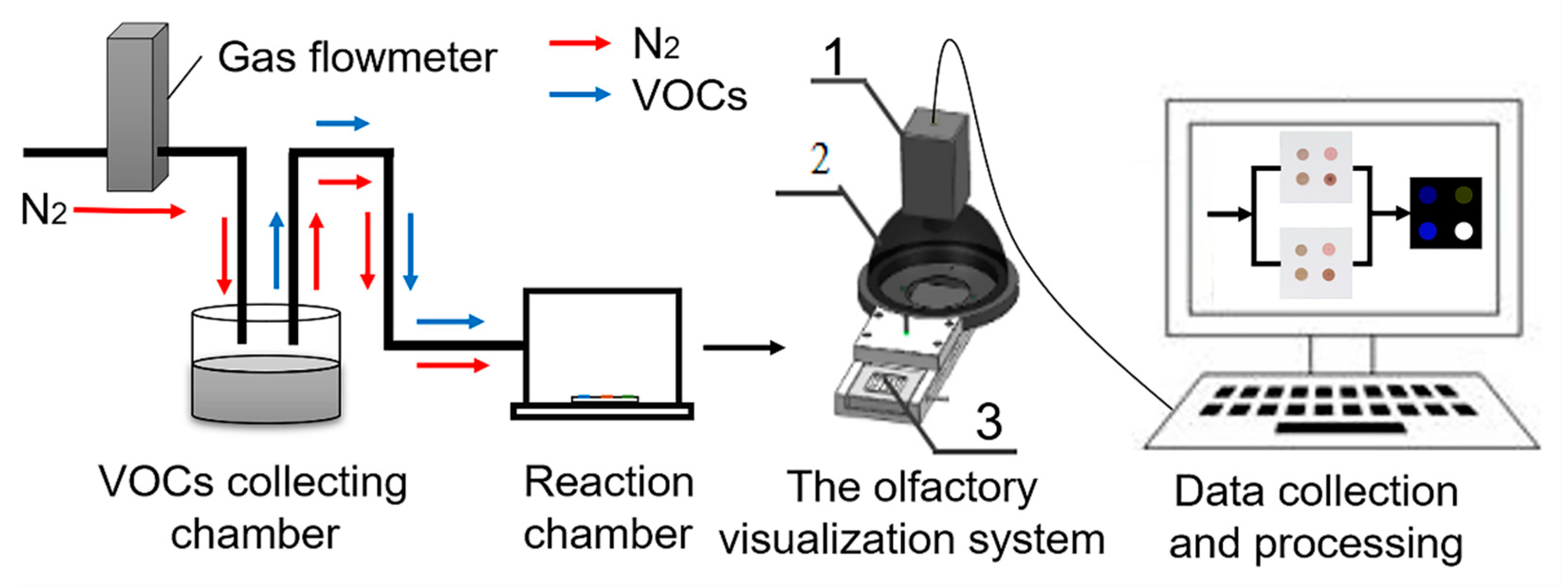 Simulation And Non Invasive Testing Of Vinegar Storage Time By Olfaction Visualization System 6091