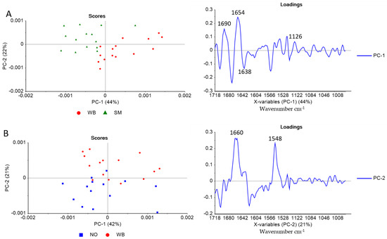Foods | Free Full-Text | Characterization of Collagen Structure in ...
