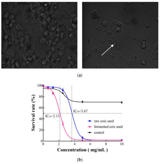 Increases of Lipophilic Antioxidants and Anticancer Activity of Coix ...