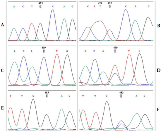 Foods | Free Full-Text | Methodological Approaches to DNA ...