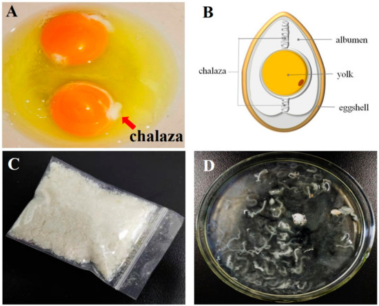 Novel Pickering High Internal Phase Emulsion Stabilized by Food Waste ...