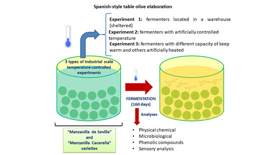 Foods | Special Issue : Fermented Foods: New Concepts and Technologies ...