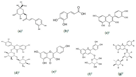 Morus alba L. Plant: Bioactive Compounds and Potential as a Functional ...