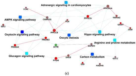 Comparative Study on Pale, Soft and Exudative (PSE) and Red, Firm and ...