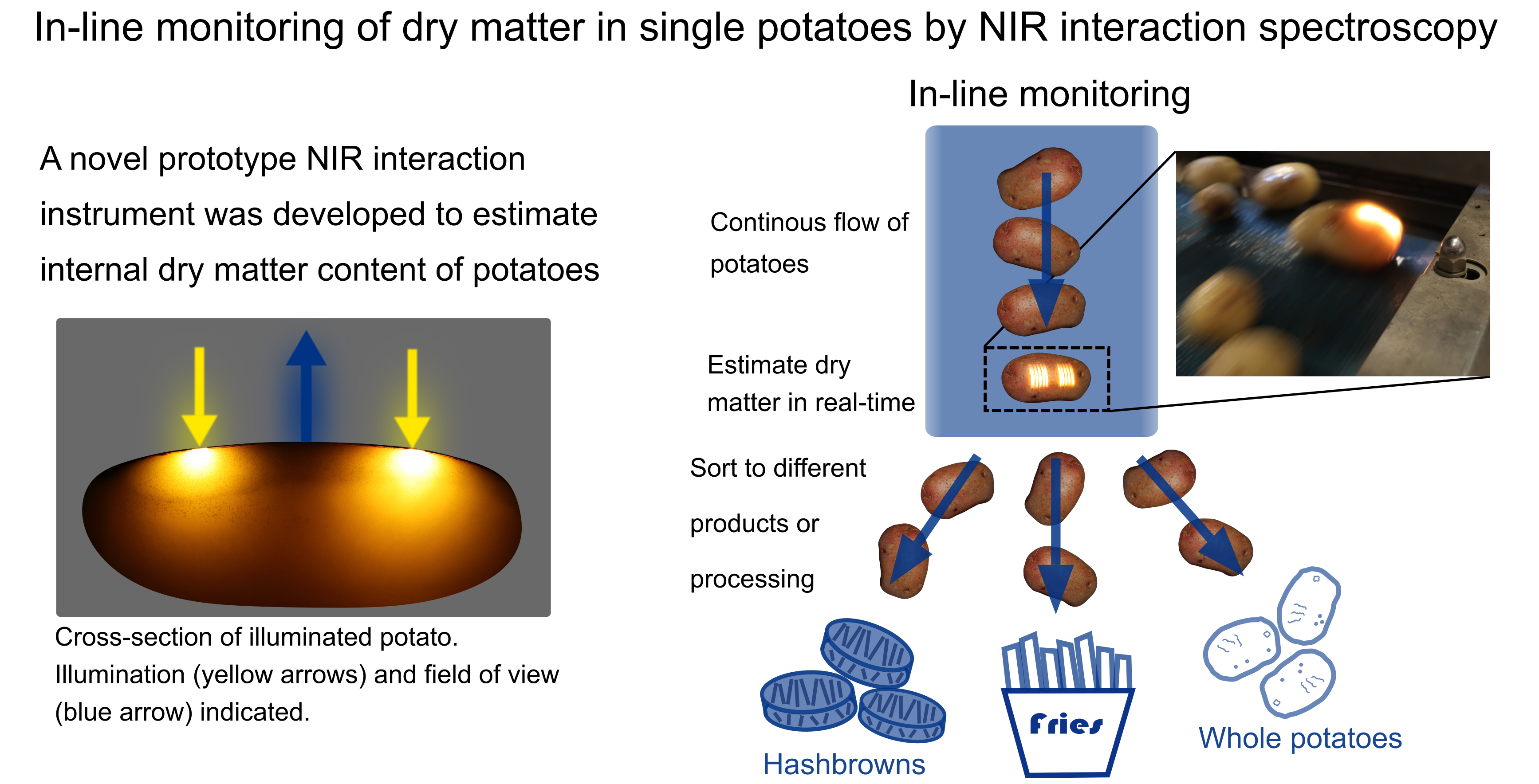 Foods | Free Full-Text | Optimization of Instrument Design for In-Line ...