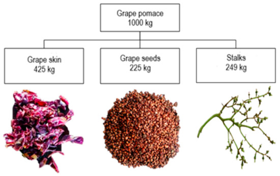 The Potential of Grape Pomace Varieties as a Dietary Source of Pectic ...