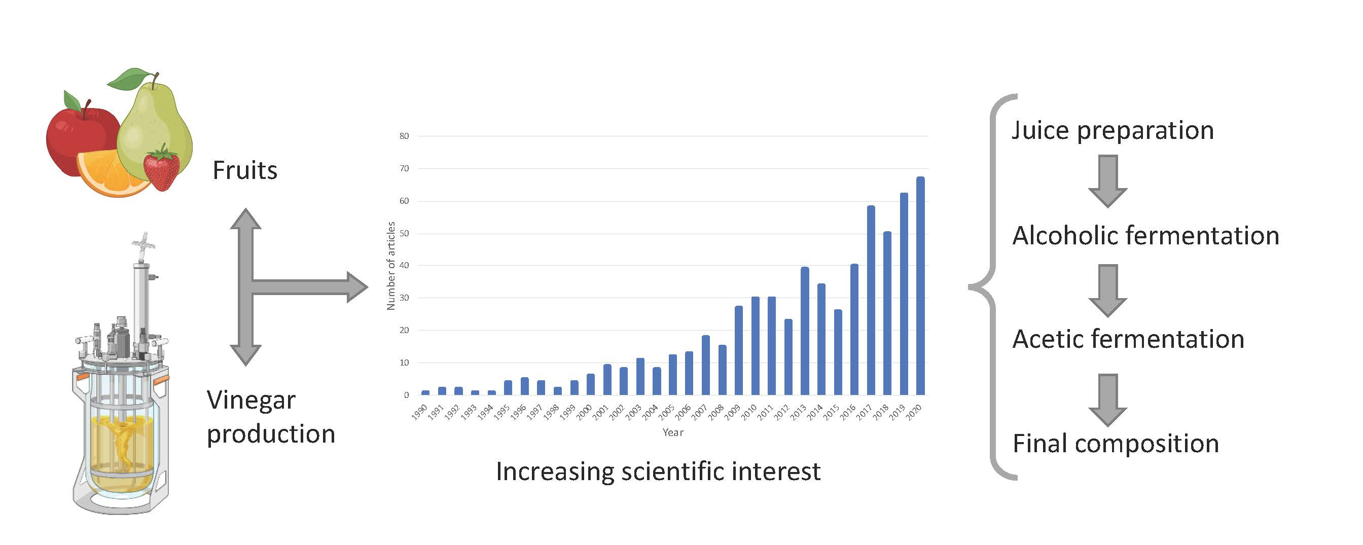 Foods | Free Full-Text | Biotechnological Processes in Fruit Vinegar ...
