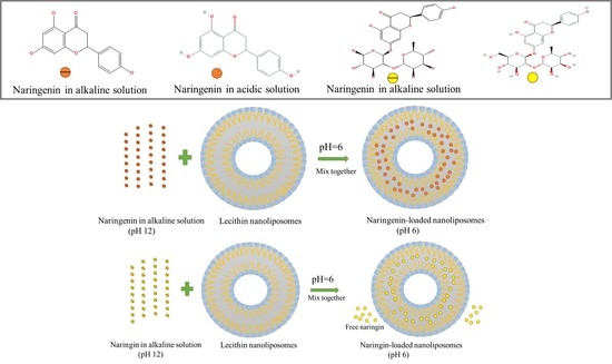 Foods | Free Full-Text | Encapsulation of Hydrophobic and Low-Soluble ...