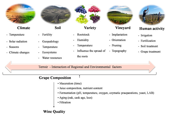 The Flavor Chemistry of Fortified Wines—A Comprehensive Approach