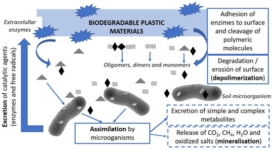 Biodegradable Antimicrobial Films for Food Packaging: Effect of ...