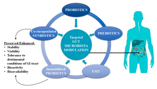 Co-Encapsulated Synbiotics and Immobilized Probiotics in Human Health ...