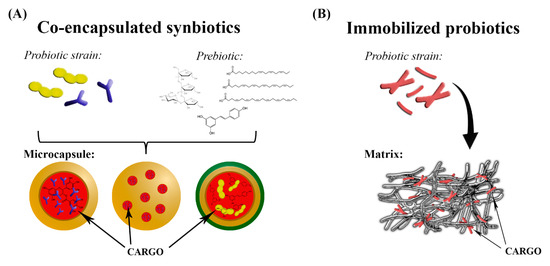 Co-Encapsulated Synbiotics and Immobilized Probiotics in Human Health ...