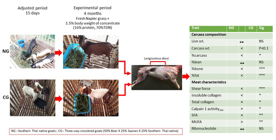 Foods | Special Issue : Sensory Evaluation and Quality Analysis of Meat ...