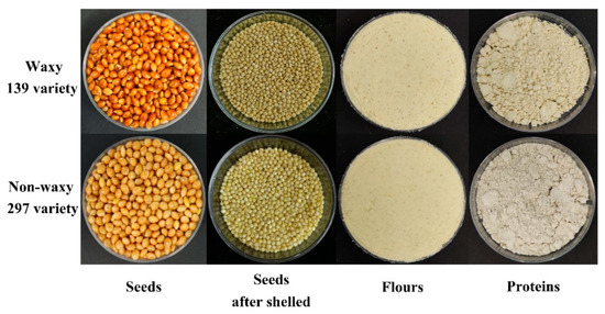 Improving the Functionality of Proso Millet Protein and Its Potential ...
