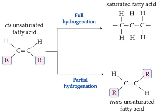 Trans Fat Structure Diagram
