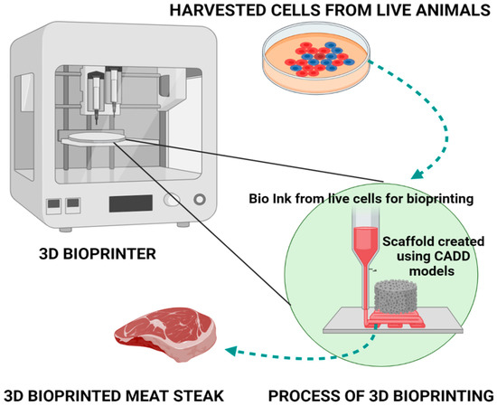 Foods | Free Full-Text | The Epic of In Vitro Meat Production—A Fiction ...