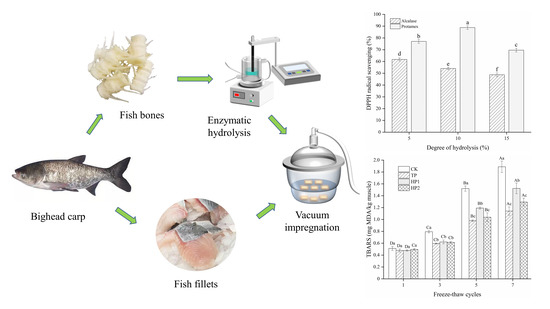Foods | Free Full-Text | Antioxidant and Cryoprotective Effects of Bone ...