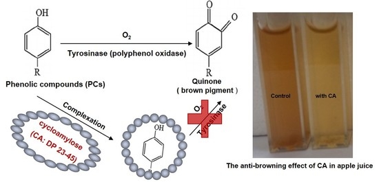 Foods | Free Full-Text | Retarding Oxidative and Enzymatic Degradation ...