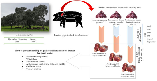 Foods | Special Issue : Innovation Trends for the Meat Industry