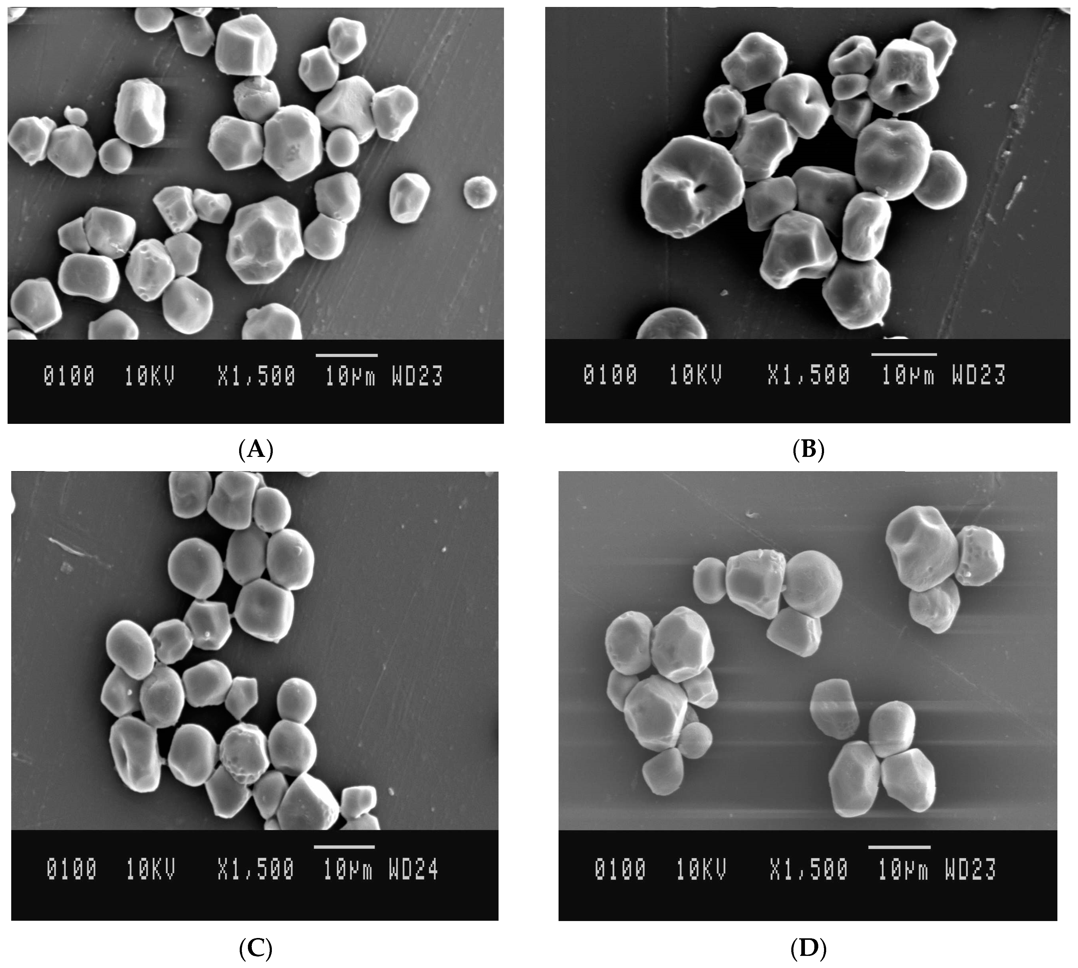 Development and Characterization of Physical Modified Pearl Millet ...