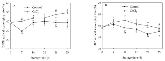 Effects of CaCl2 Treatment Alleviates Chilling Injury of Loquat Fruit ...